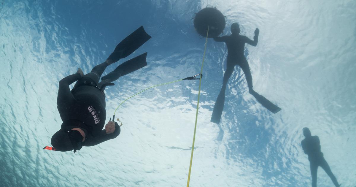 Ausbildung zum Apnoetauchen und Freediving in Hannover